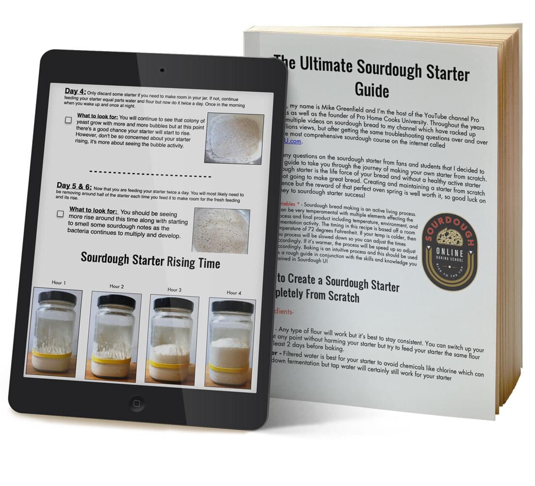 Sourdough Starter Opt-In Page - Pro Home Cooks